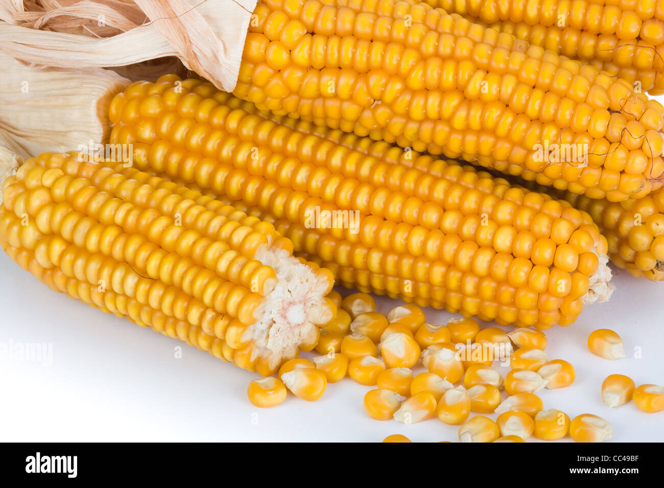 Ripe corn against bright background Stock Photo - Alamy