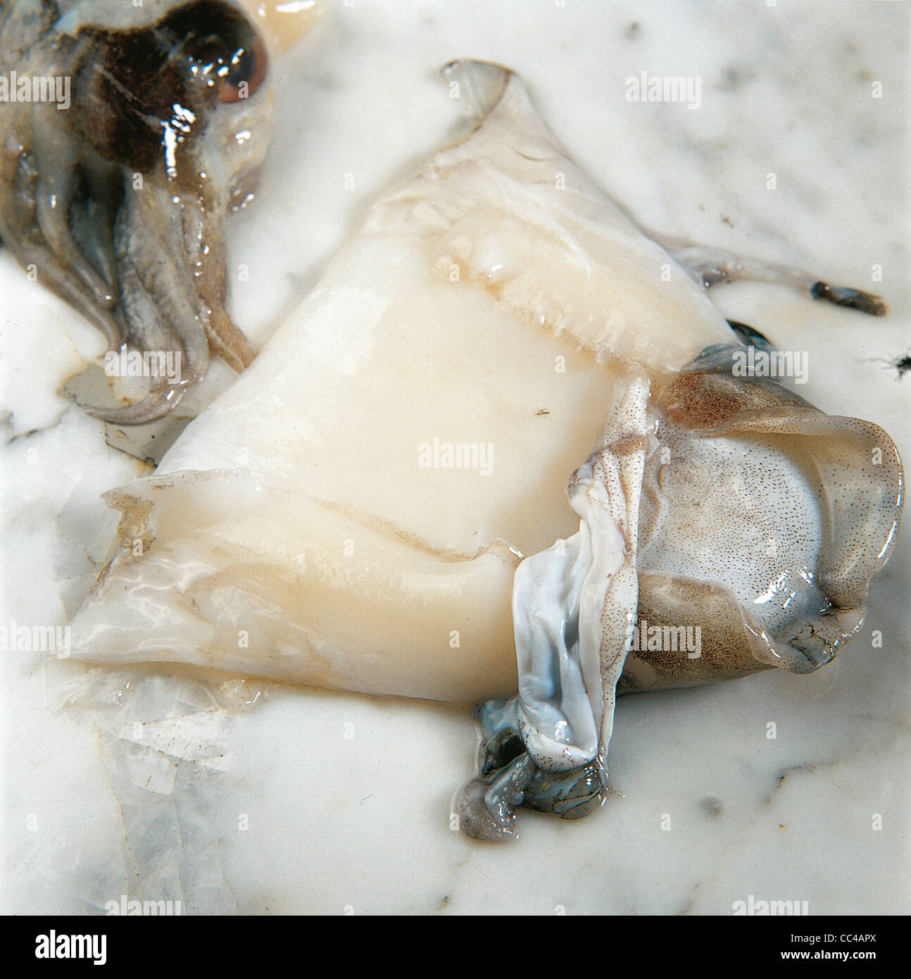 Kitchen: Cleaning The Squid 5 Stock Photo - Alamy