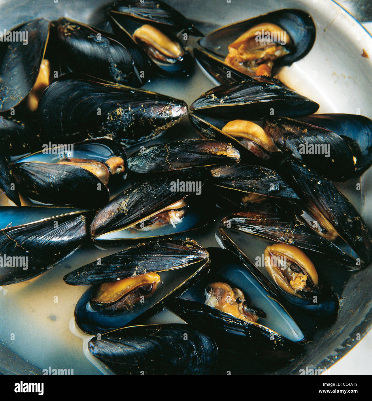 Clean the mussels 3 hi-res stock photography and images - Alamy