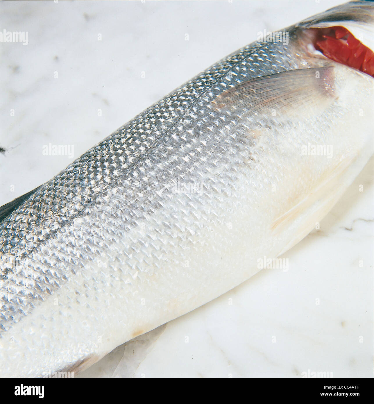Cuisine: How To Recognize Fresh Fish (2 Stock Photo - Alamy
