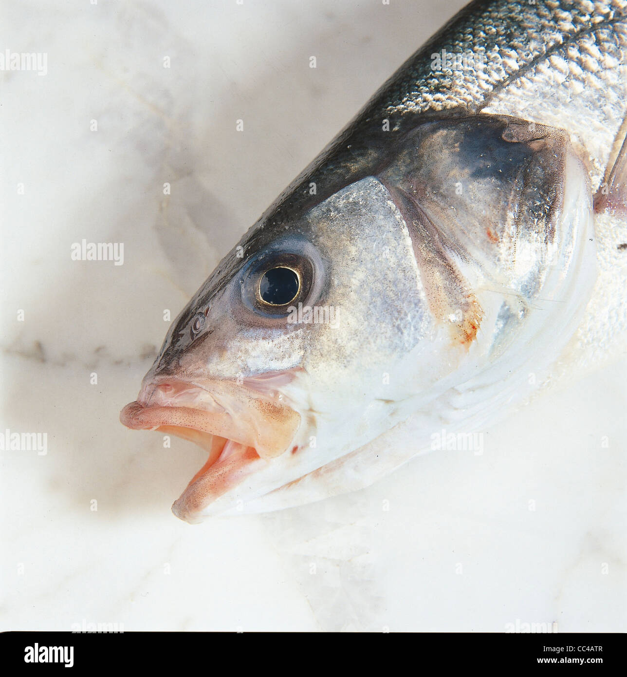 Cuisine: How To Recognize Fresh Fish (4 Stock Photo - Alamy