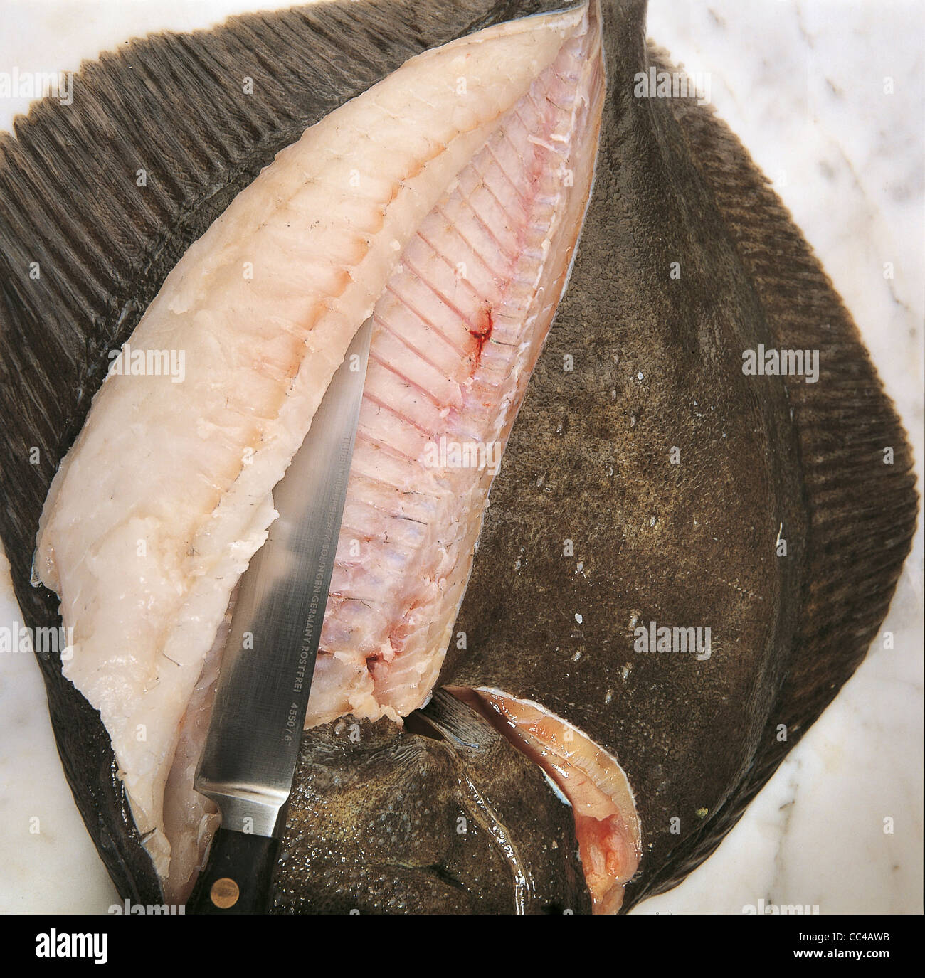 Cuisine: How To Fillet Turbot (3 Stock Photo - Alamy
