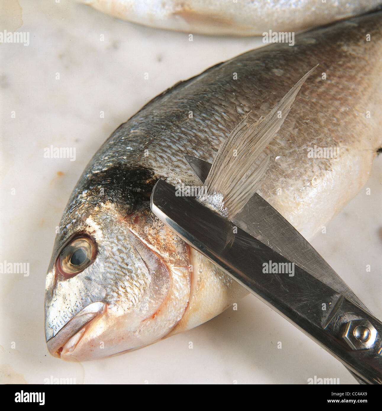 Cuisine: How To Fillet Sea Bream (1 Stock Photo - Alamy