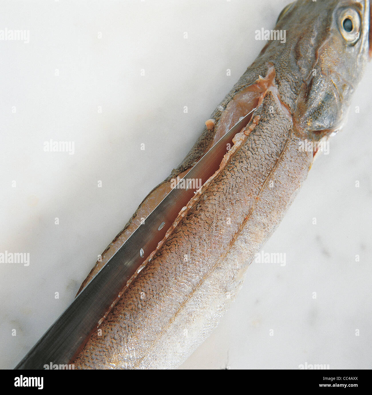 Kitchen: How Filleting Hake 3 Stock Photo - Alamy