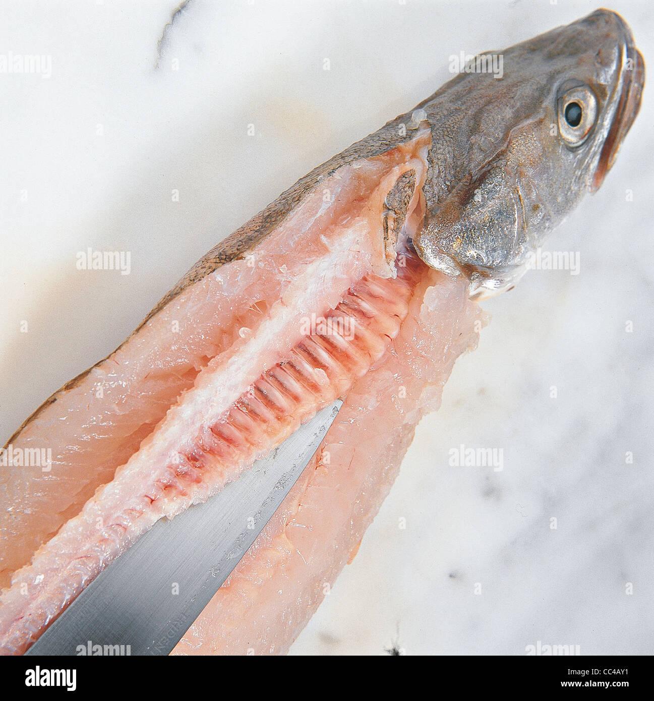 Kitchen: How Filleting Hake 4 Stock Photo - Alamy