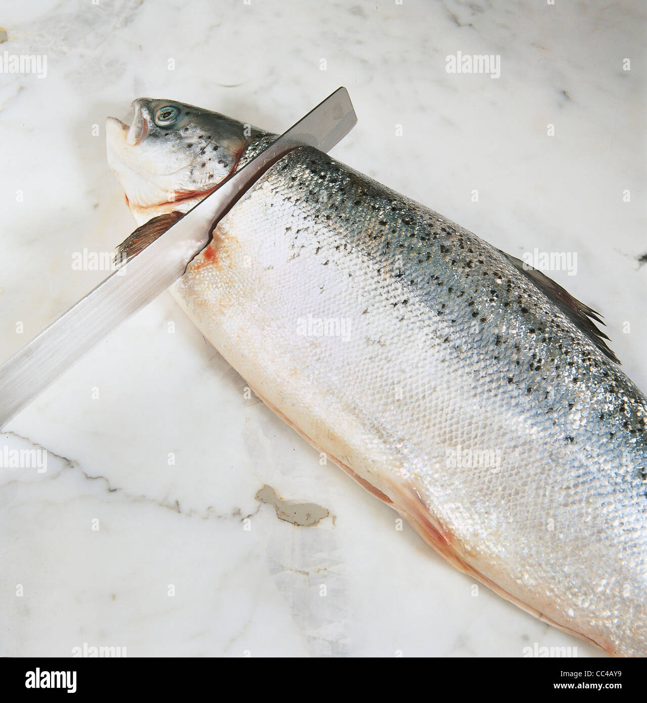 How to fillet and cut the salmon 1 hi-res stock photography and images ...