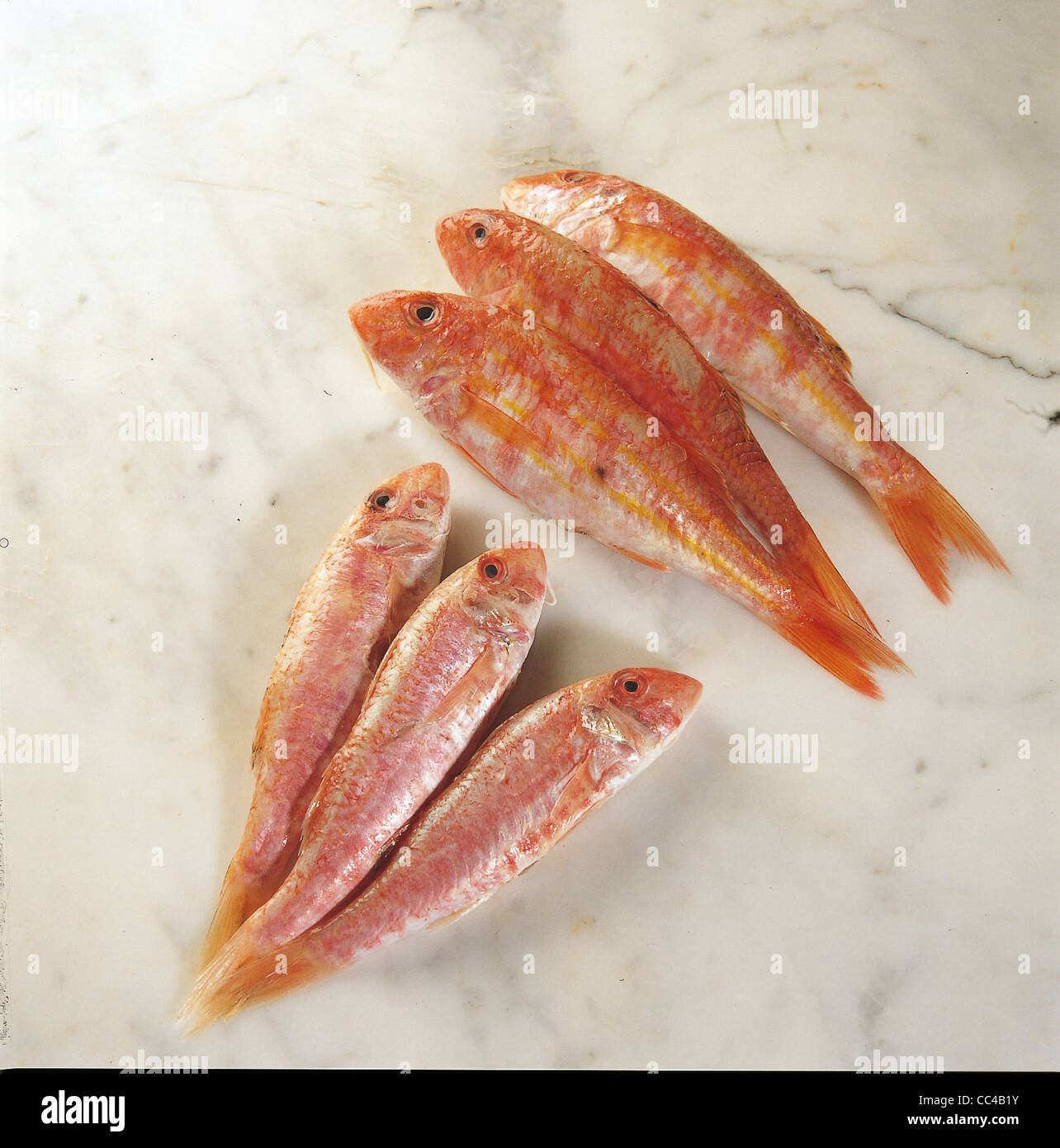 How to clean and fillet the fish 1 hi-res stock photography and images ...