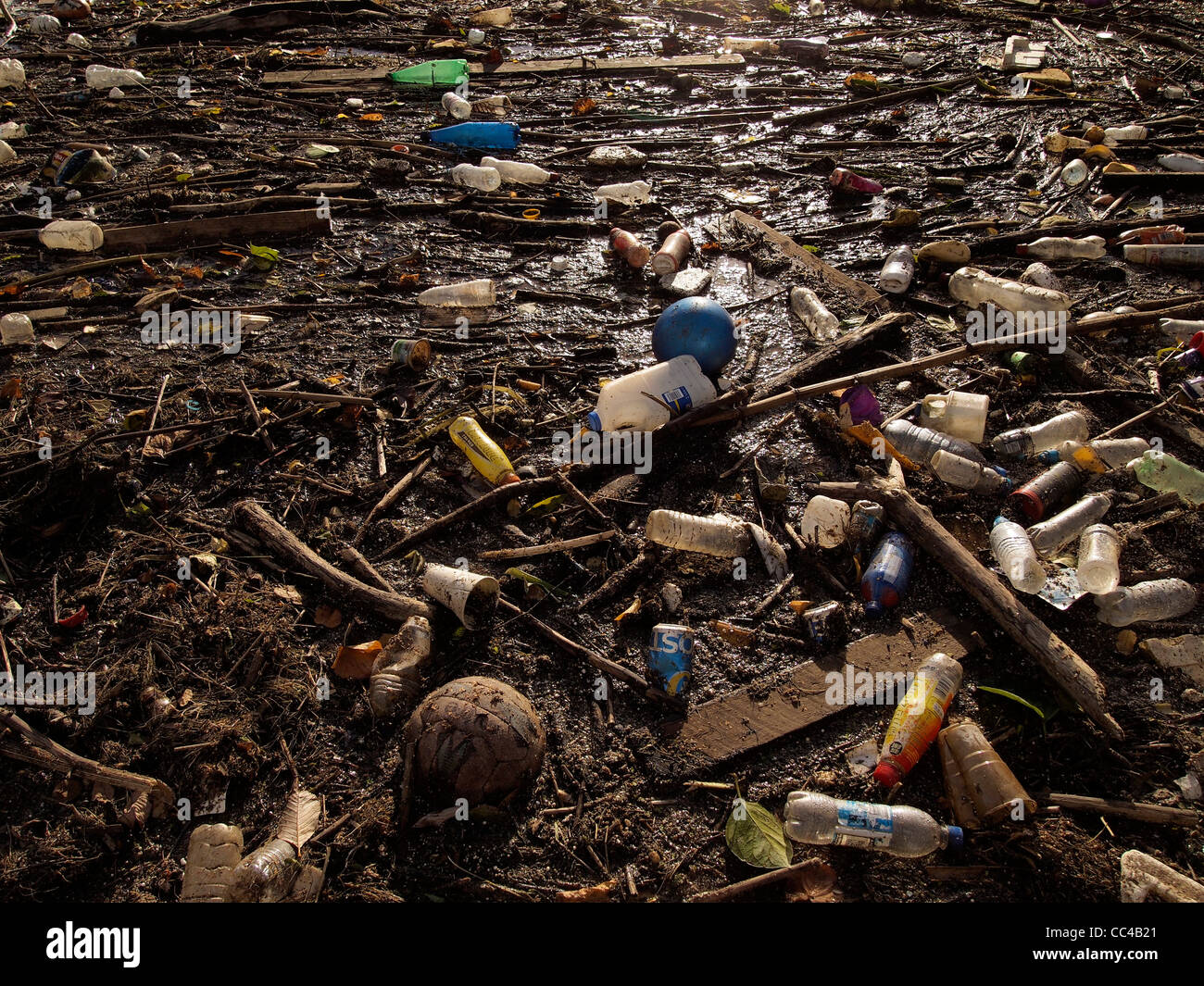vast accumulation of floating rubbish and debris washed up on ...