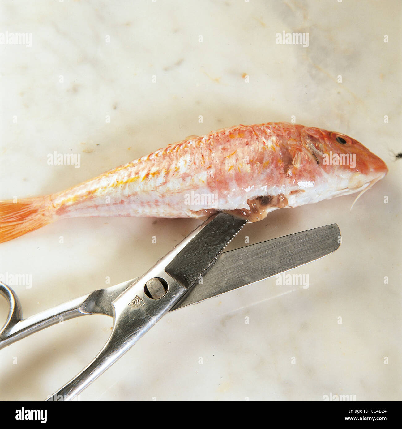 How to clean and fillet the fish 3 hi-res stock photography and images ...