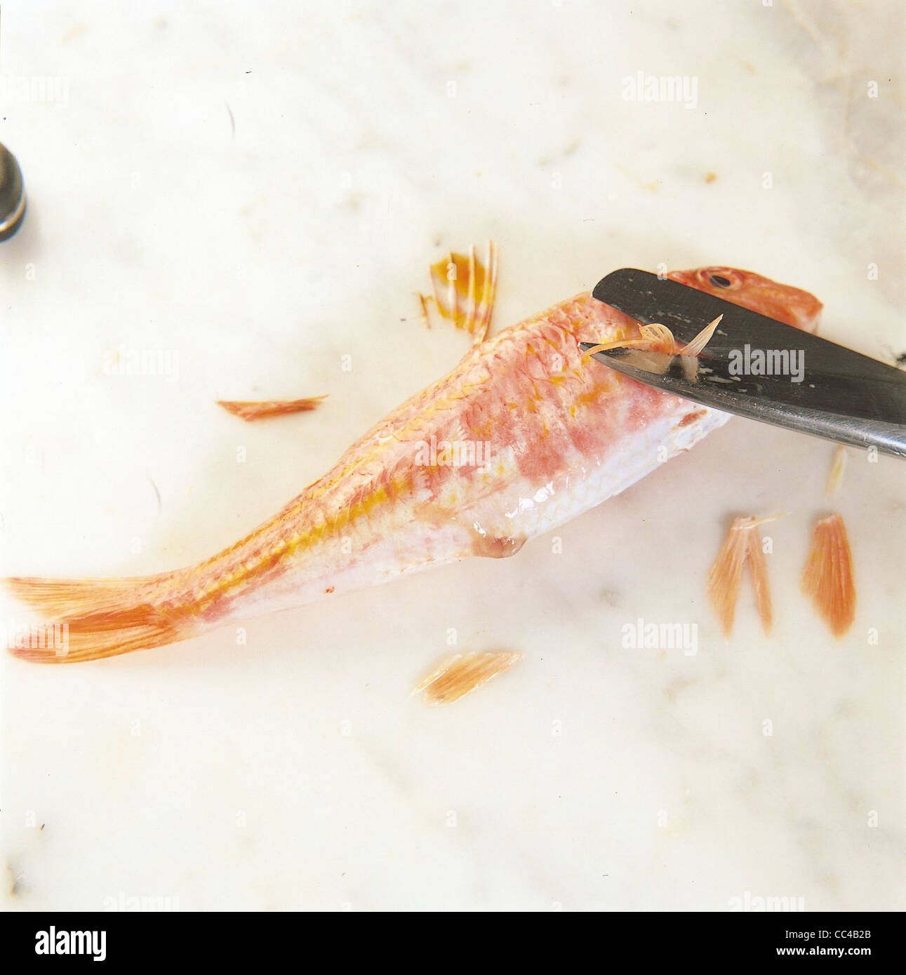 Cuisine: How To Clean And Fillet The Fish (7 Stock Photo - Alamy