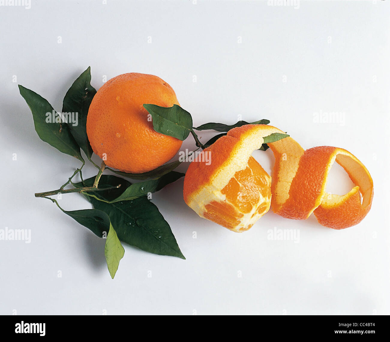 Common oranges hi-res stock photography and images - Alamy
