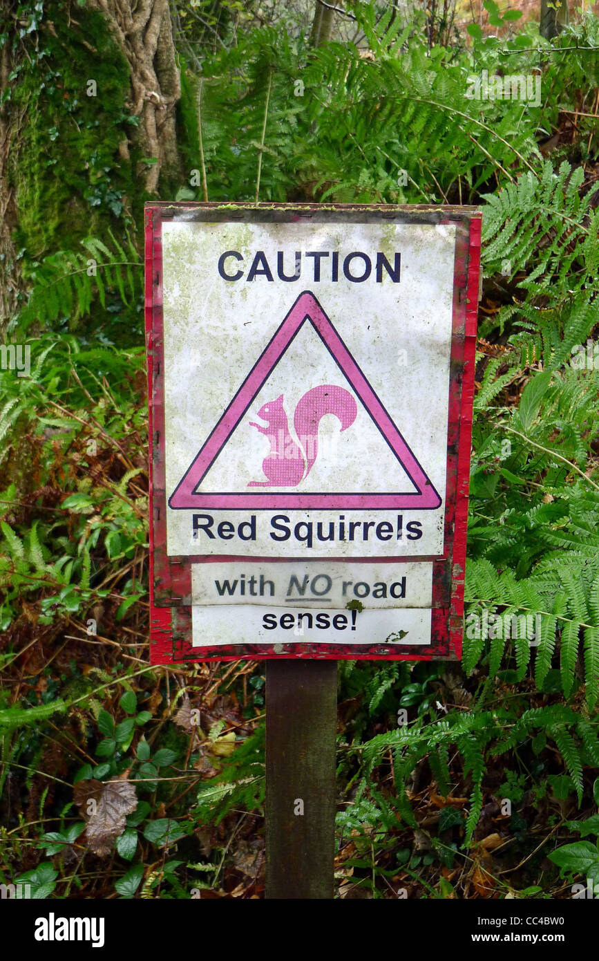 Squirrel road sign hi-res stock photography and images - Alamy