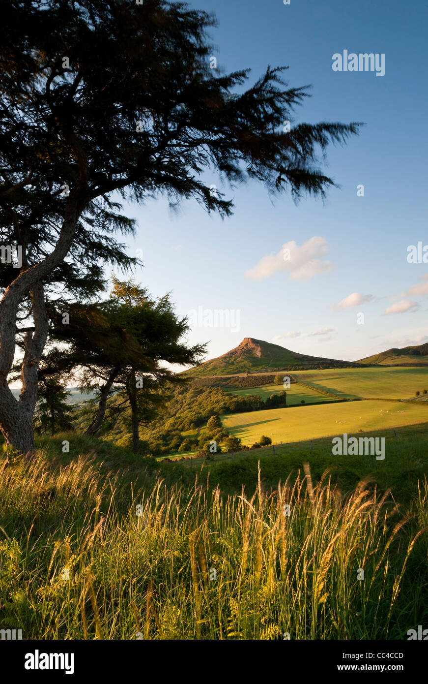 A landscape with trees and fields leading to a pointed hill. England UK ...
