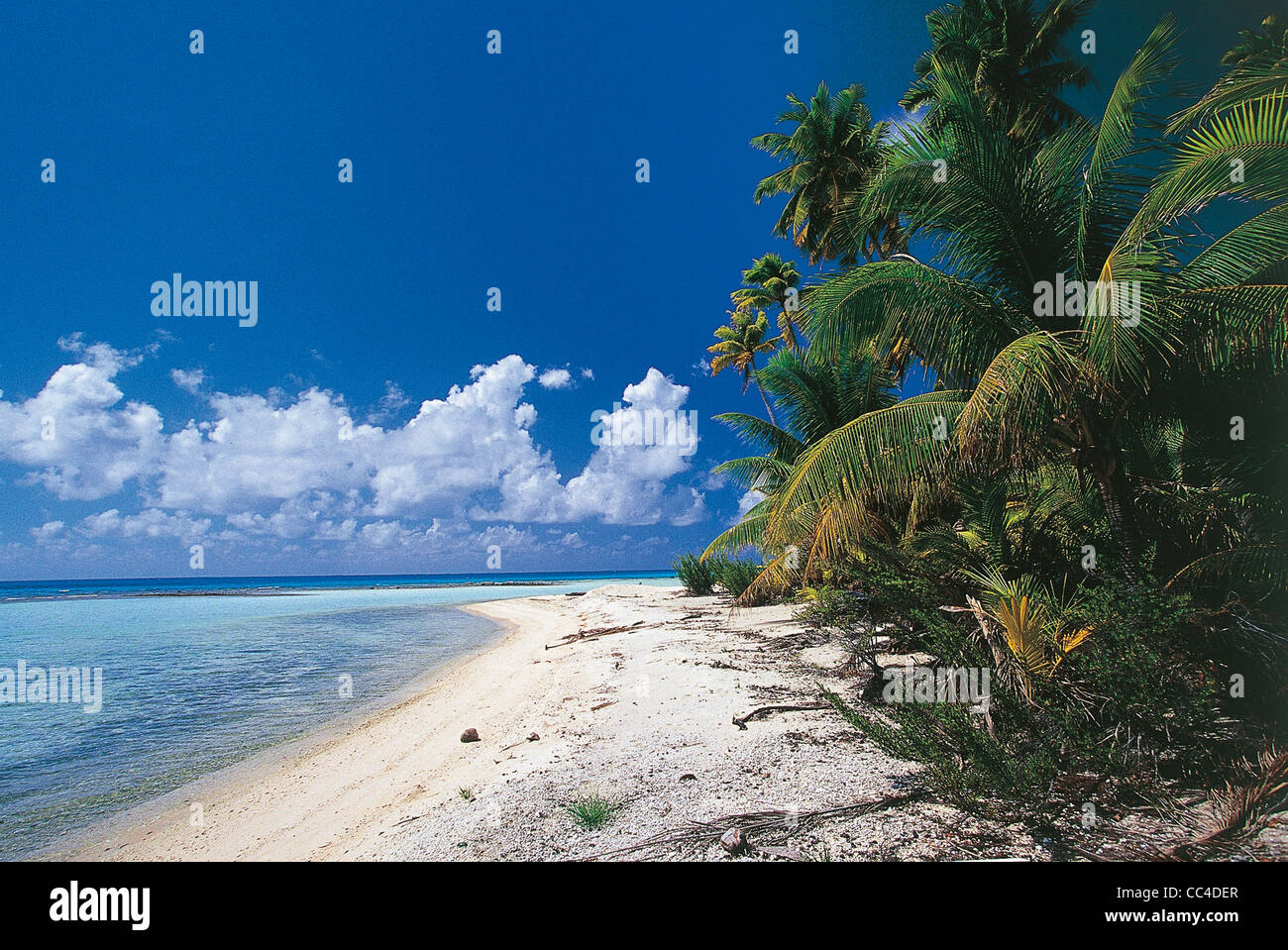 French Polynesia Tuamotu Islands Rangiroa Laguna Beach Stock Photo - Alamy