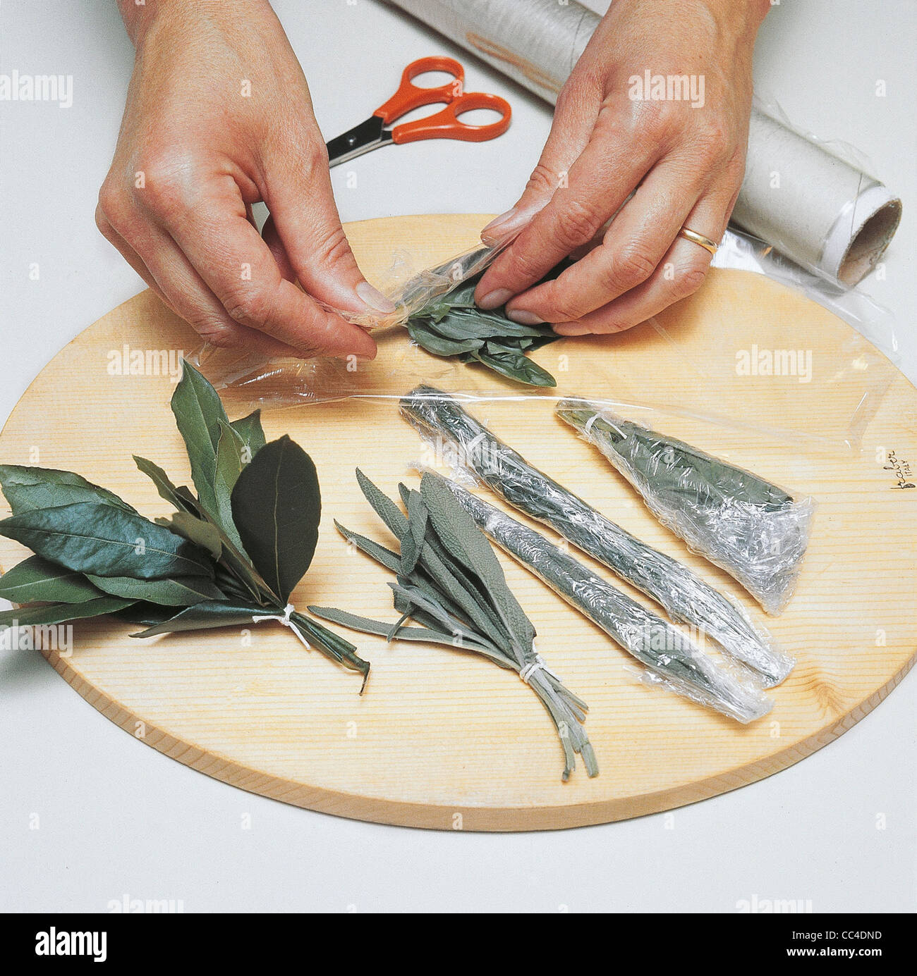 Kitchen: Food Storage Of Freezing Herbs Stock Photo - Alamy