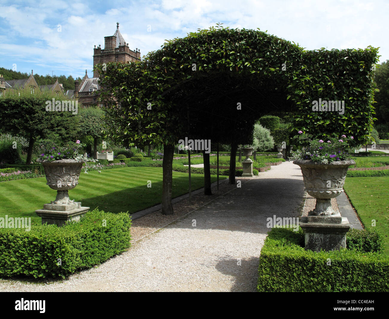 Pleached hi-res stock photography and images - Alamy