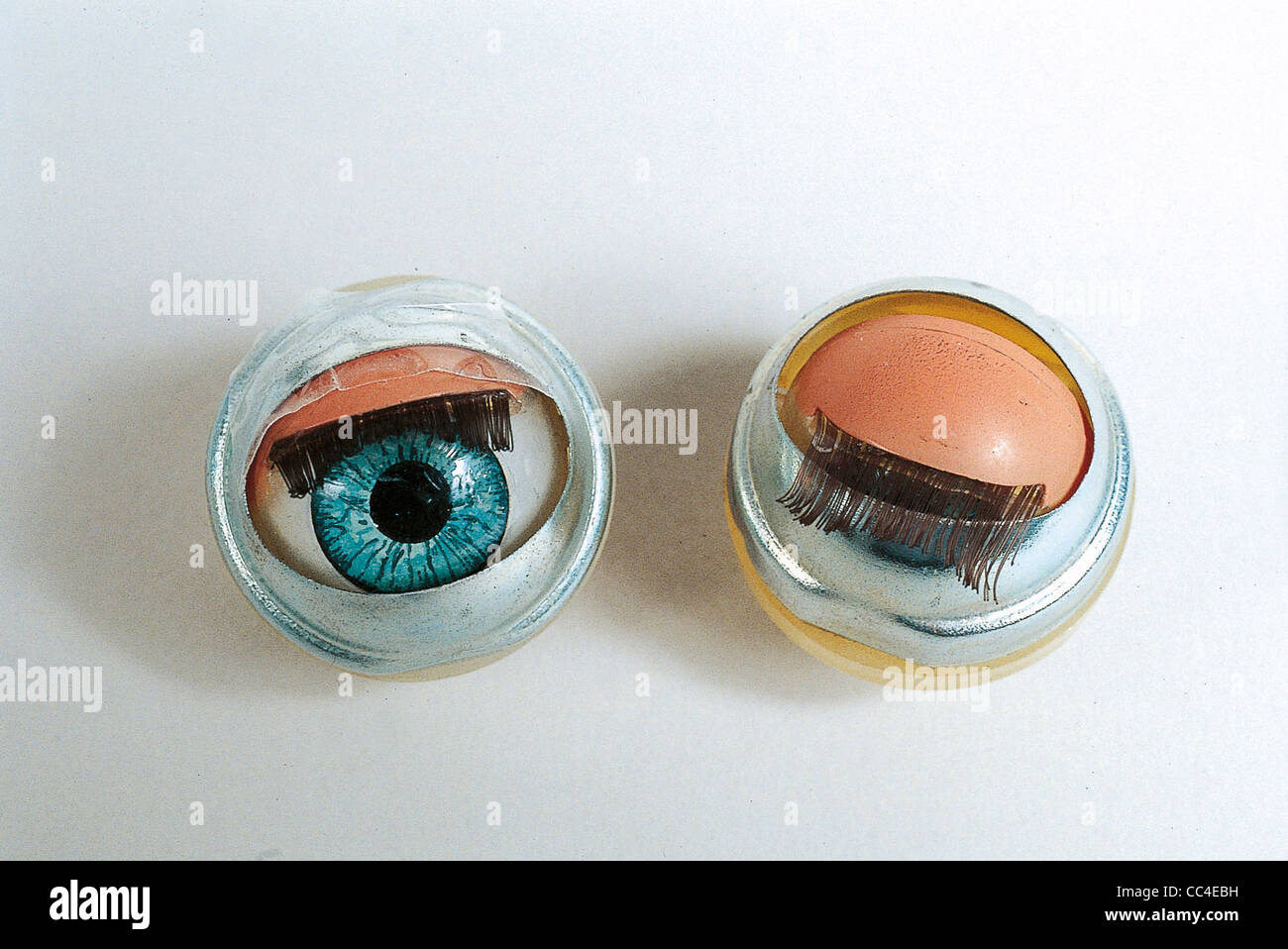 Collecting: How To Recognize The Collector Dolls Dolls Eyelid Eye On ...
