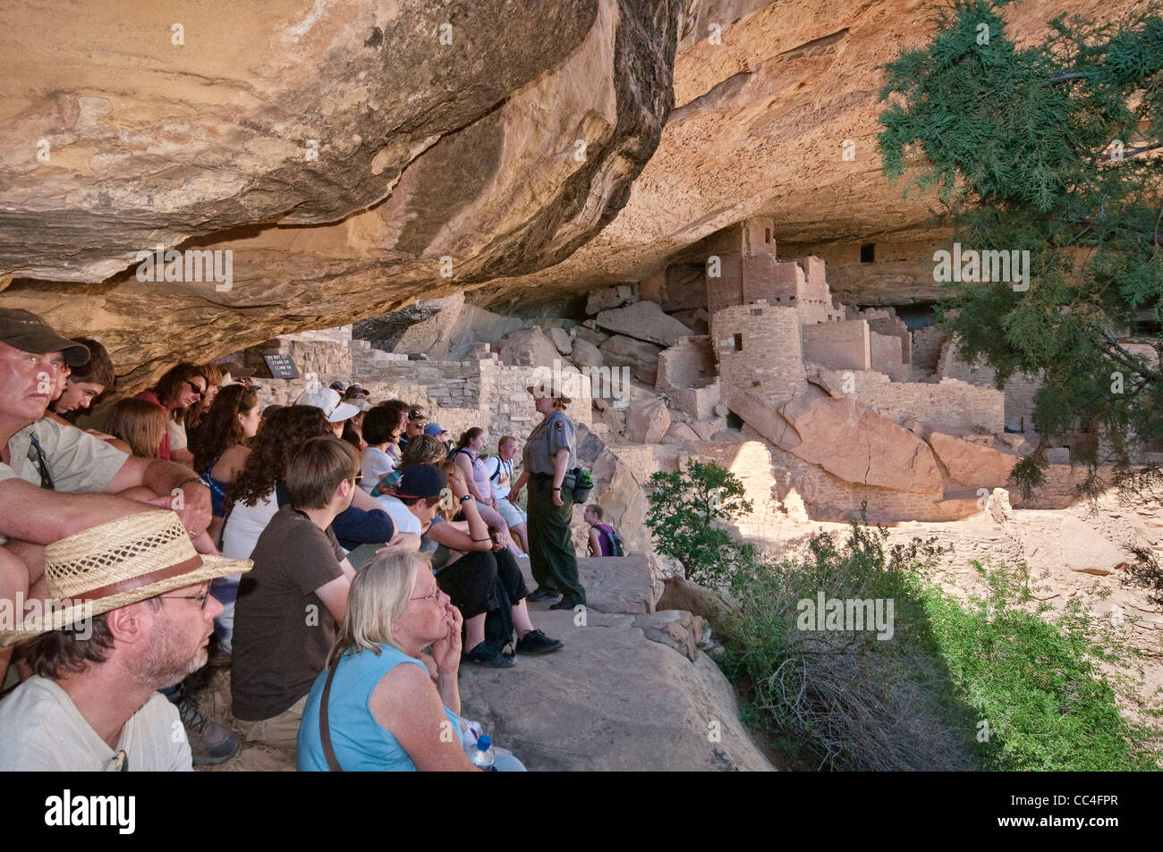 Park guide and visitors at Cliff Palace ruins in alcove at Chaplin Mesa ...