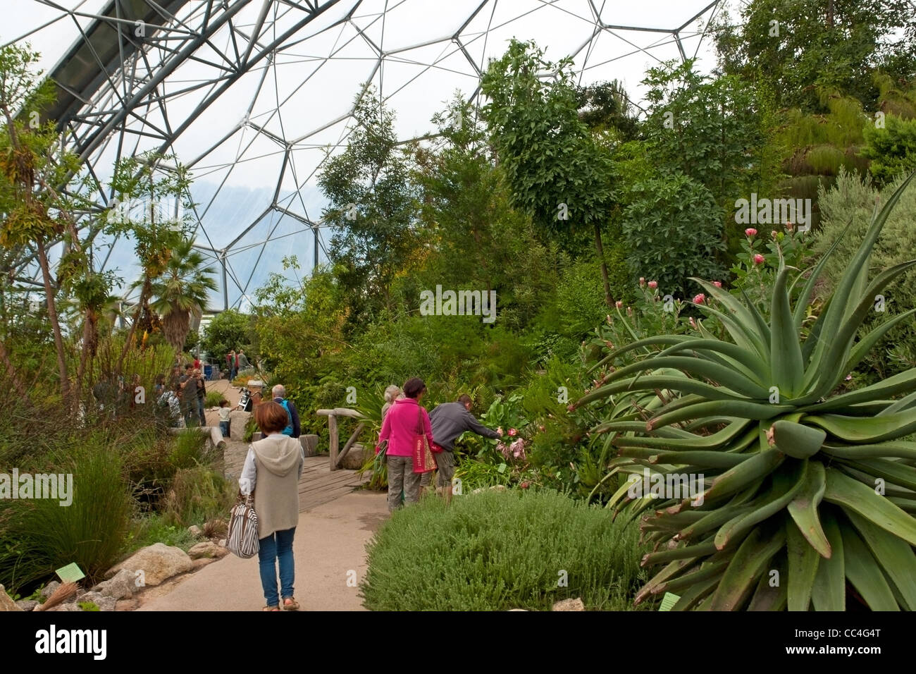 Eden project cornwall interior hi-res stock photography and images - Alamy