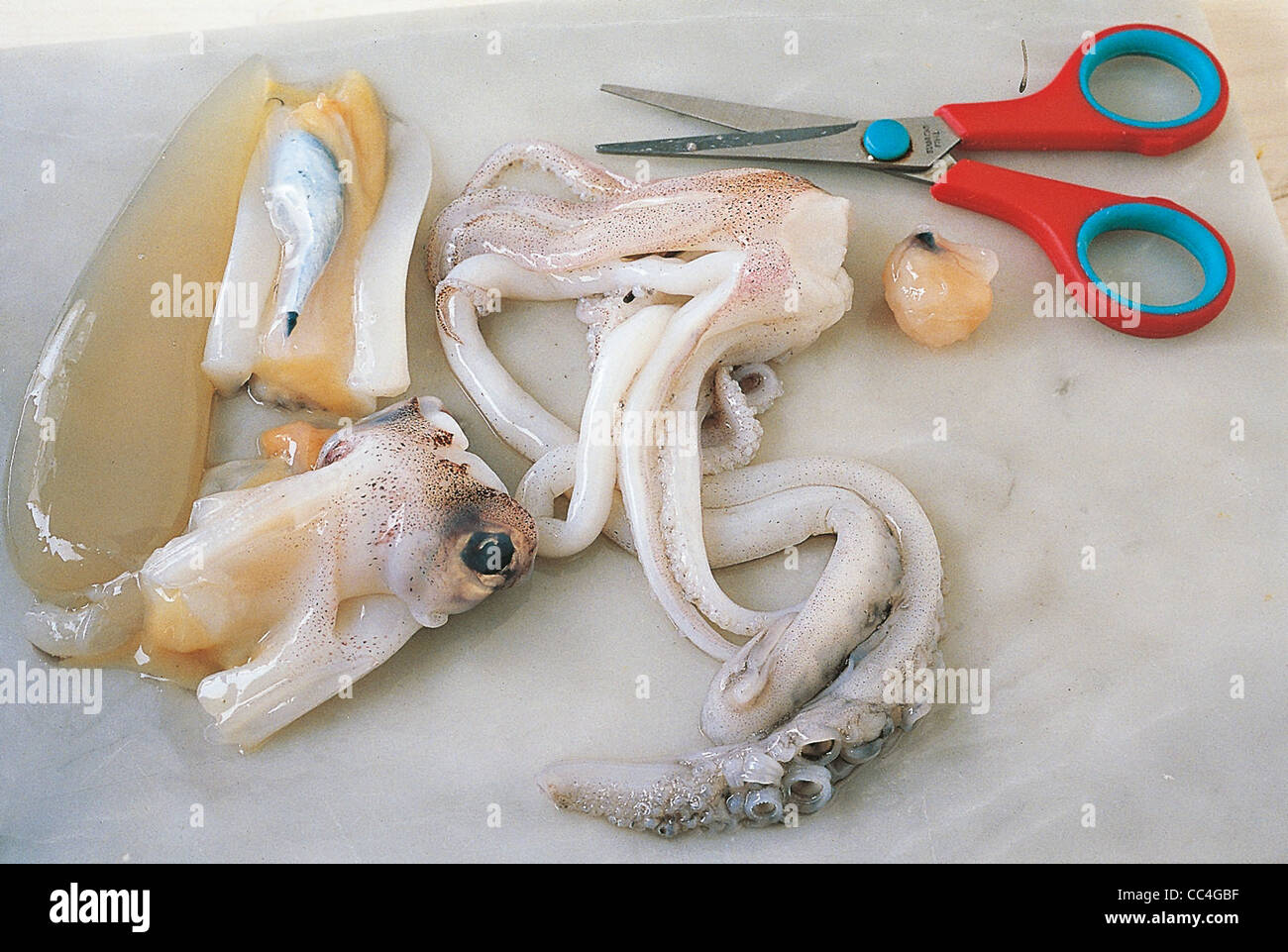 Cuisine: Arroz Negro (2 (Spain Stock Photo - Alamy