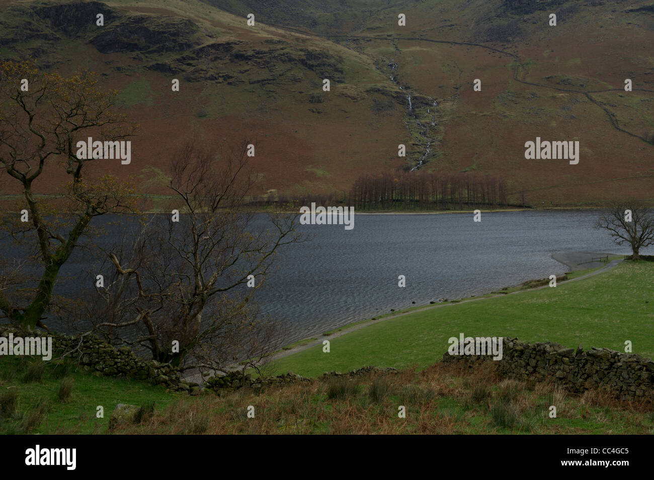 Buttermere tree water lake hi-res stock photography and images - Alamy