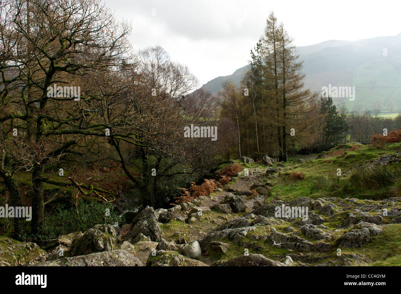 Millbeck Path, Lake District, Cumbria, UK Stock Photo - Alamy