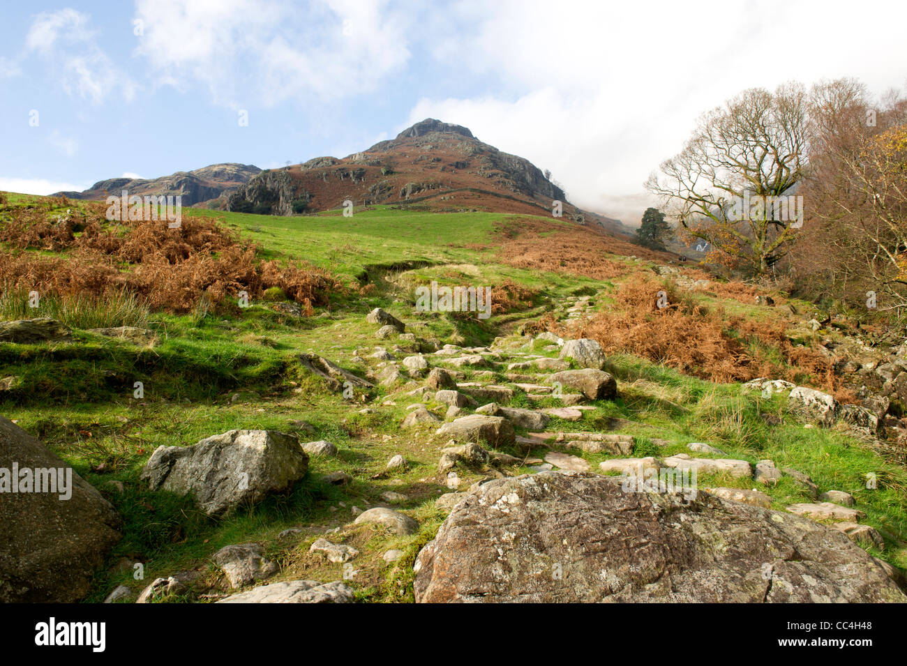 Milbeck hi-res stock photography and images - Alamy