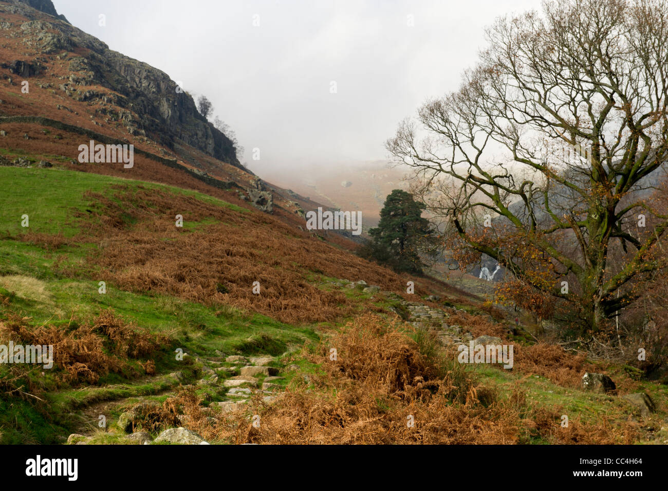 Milbeck hi-res stock photography and images - Alamy