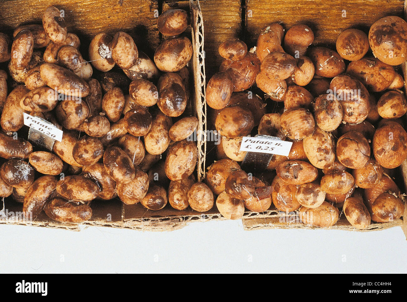 Collecting: Shops In Particular Miniature Shop Greengrocer Stock Photo ...