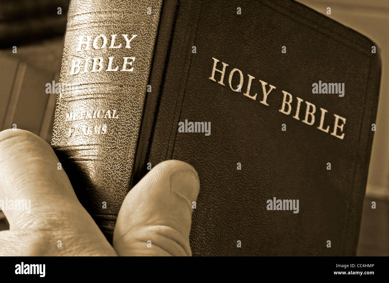 The holy bible Stock Photo - Alamy