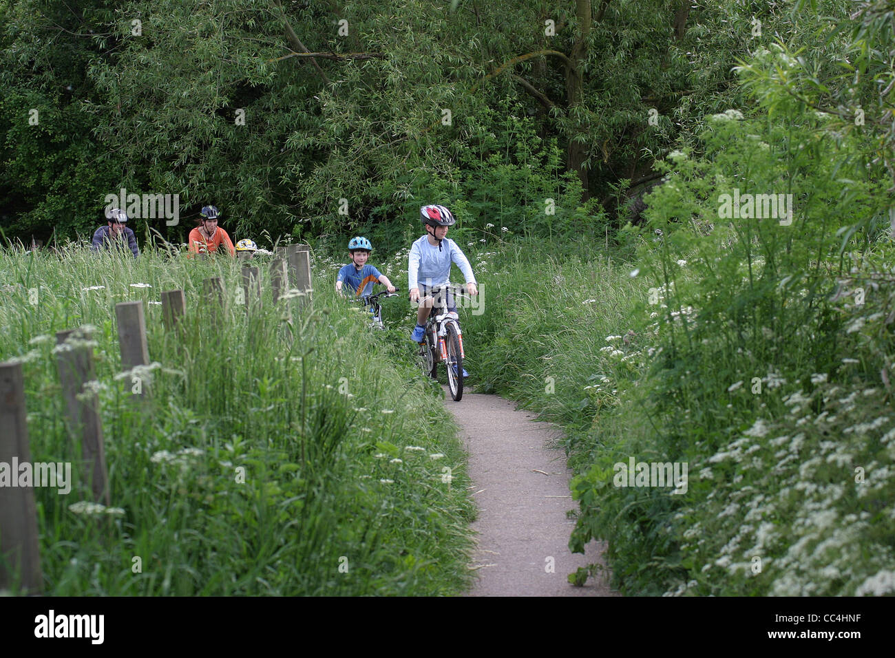 A Family On A Country Cycle Ride Stock Photo - Alamy