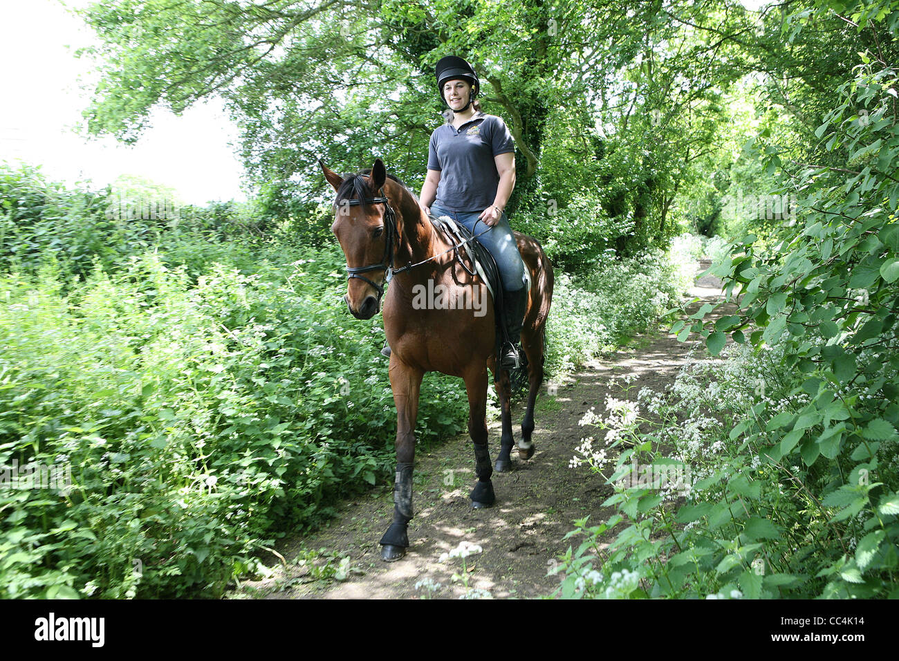 Riding horse country lane hi-res stock photography and images - Alamy