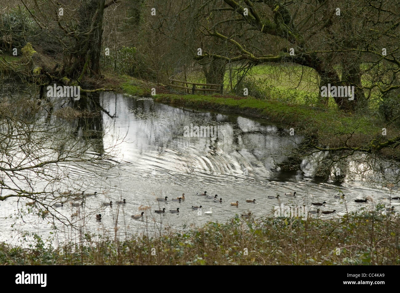 Pantglas Hall at Llanfynydd, West Wales where there is a timeshare ...