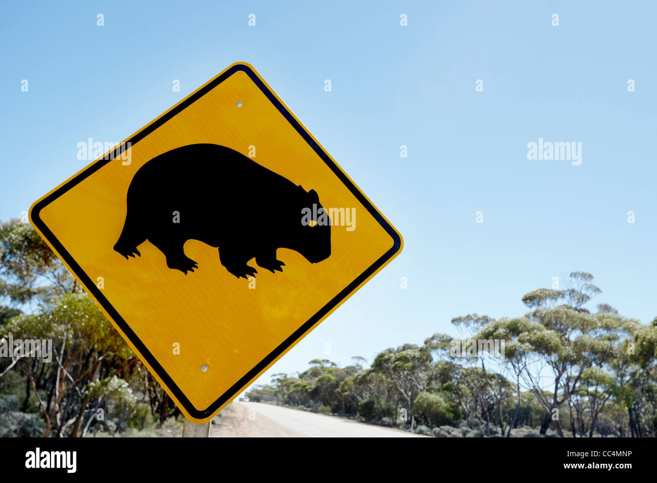 Wombat sign, The Nullarbor Plain, South Australia, Australia Stock ...
