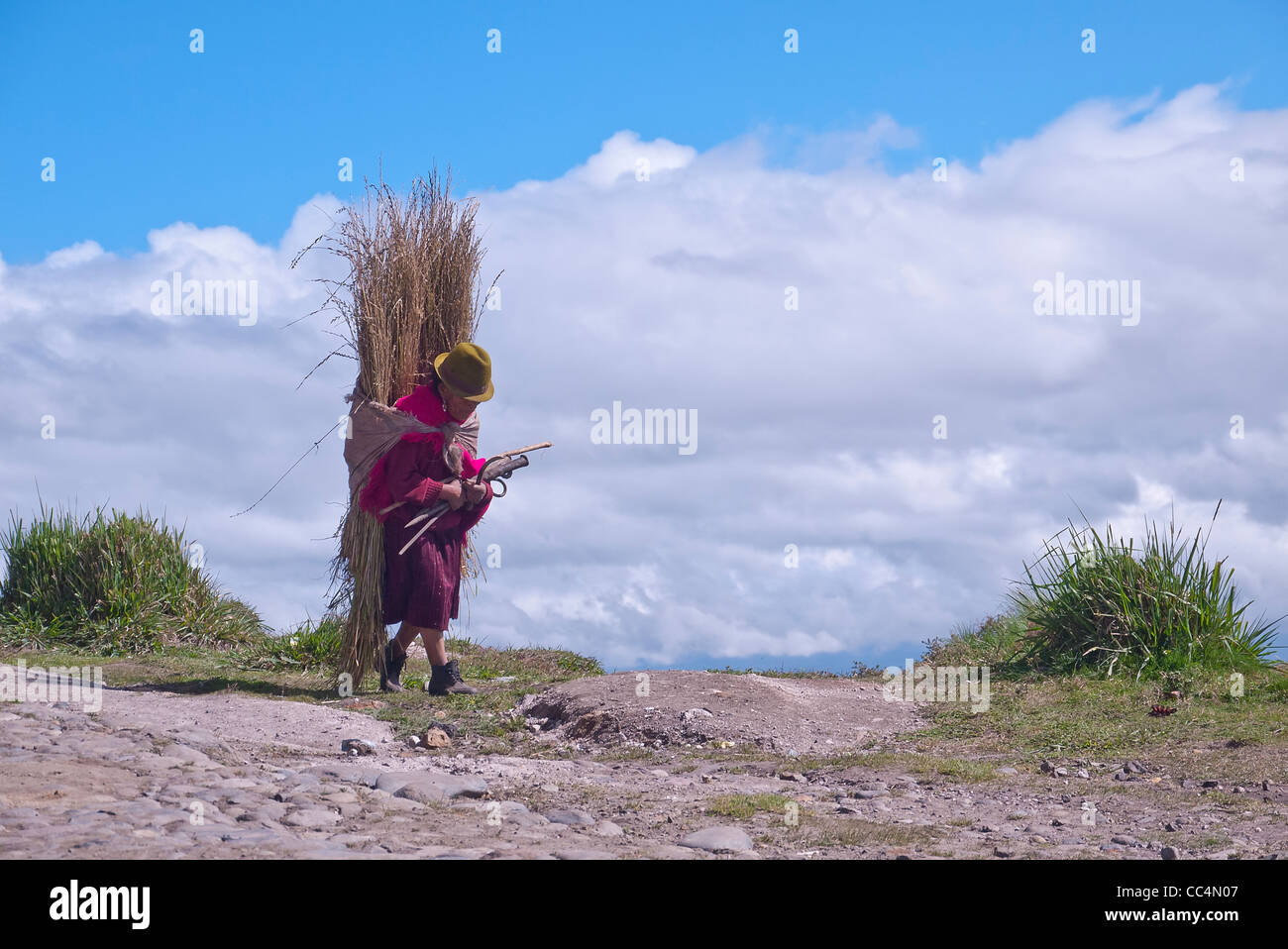 Andes indigenous indians hi-res stock photography and images - Alamy