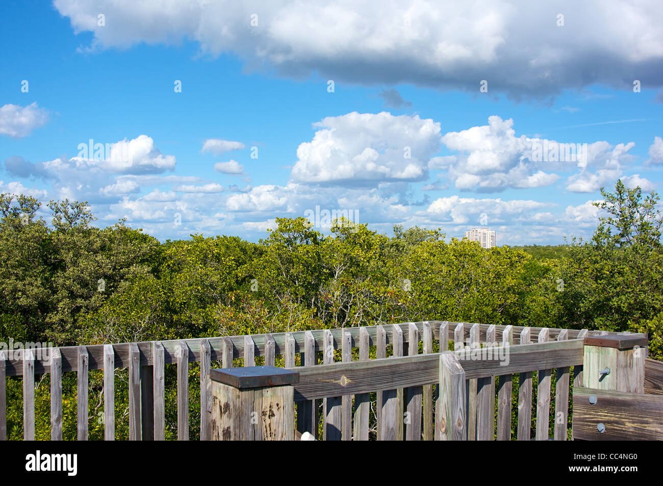 High Line Observation Deck High Resolution Stock Photography and Images ...