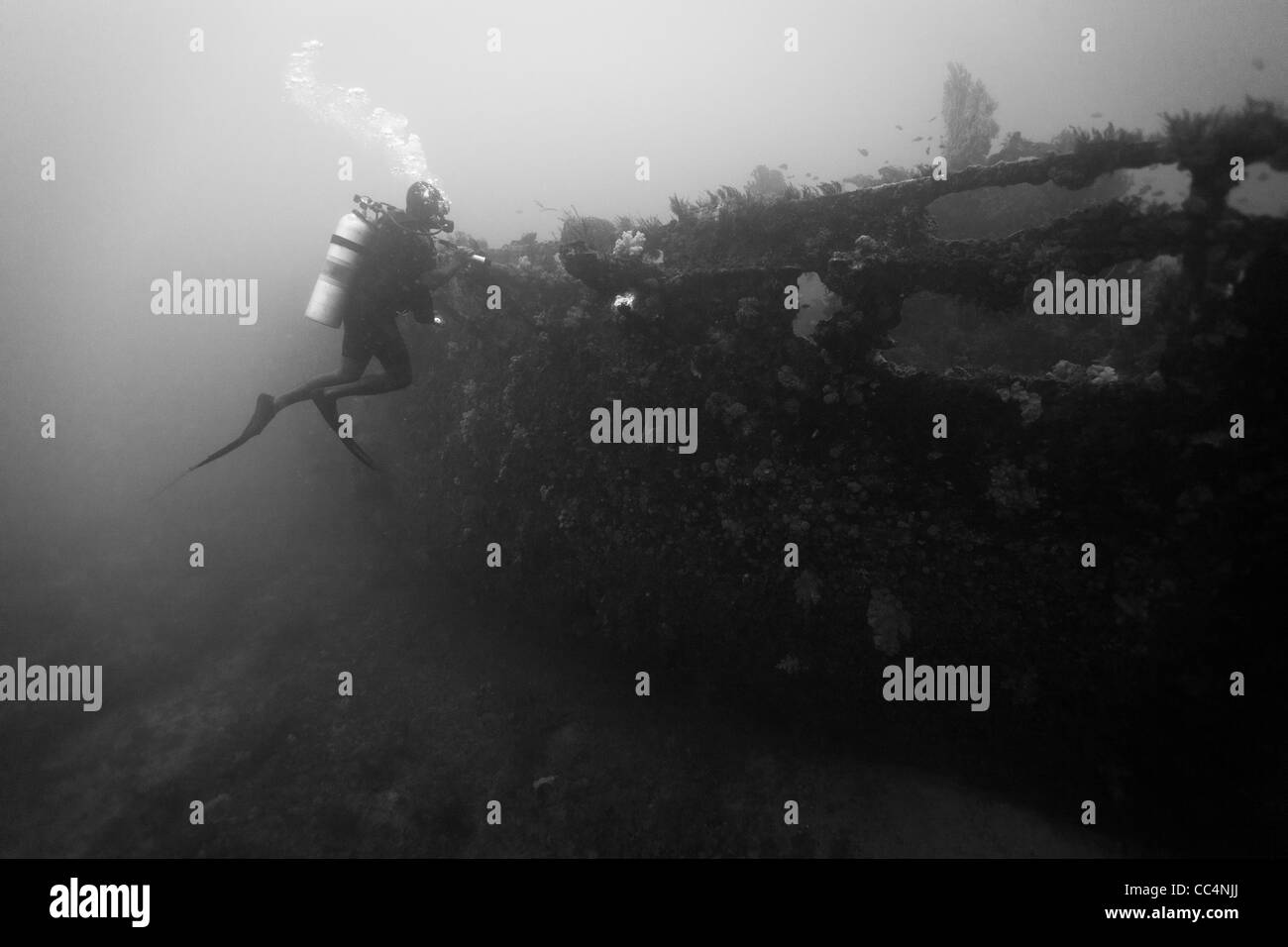 Scuba diver exploring the wreck of a 100 foot Japanese submarine chaser ...