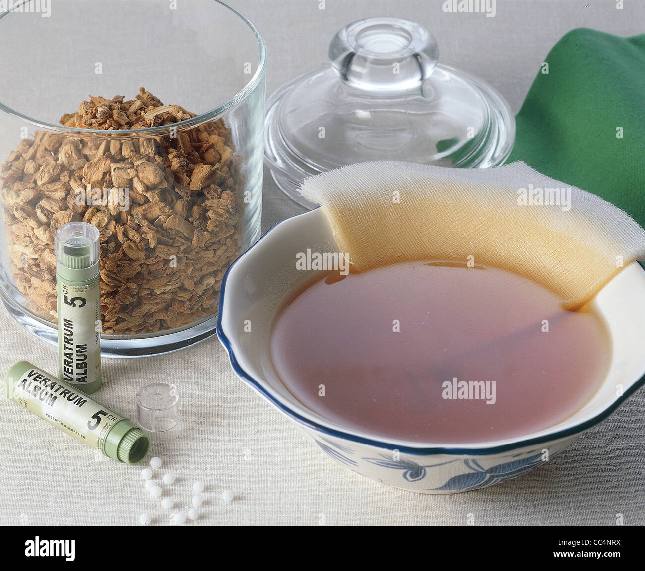 Still Life: Natural Products. Hellebore (Veratrum Album). Use Stock ...