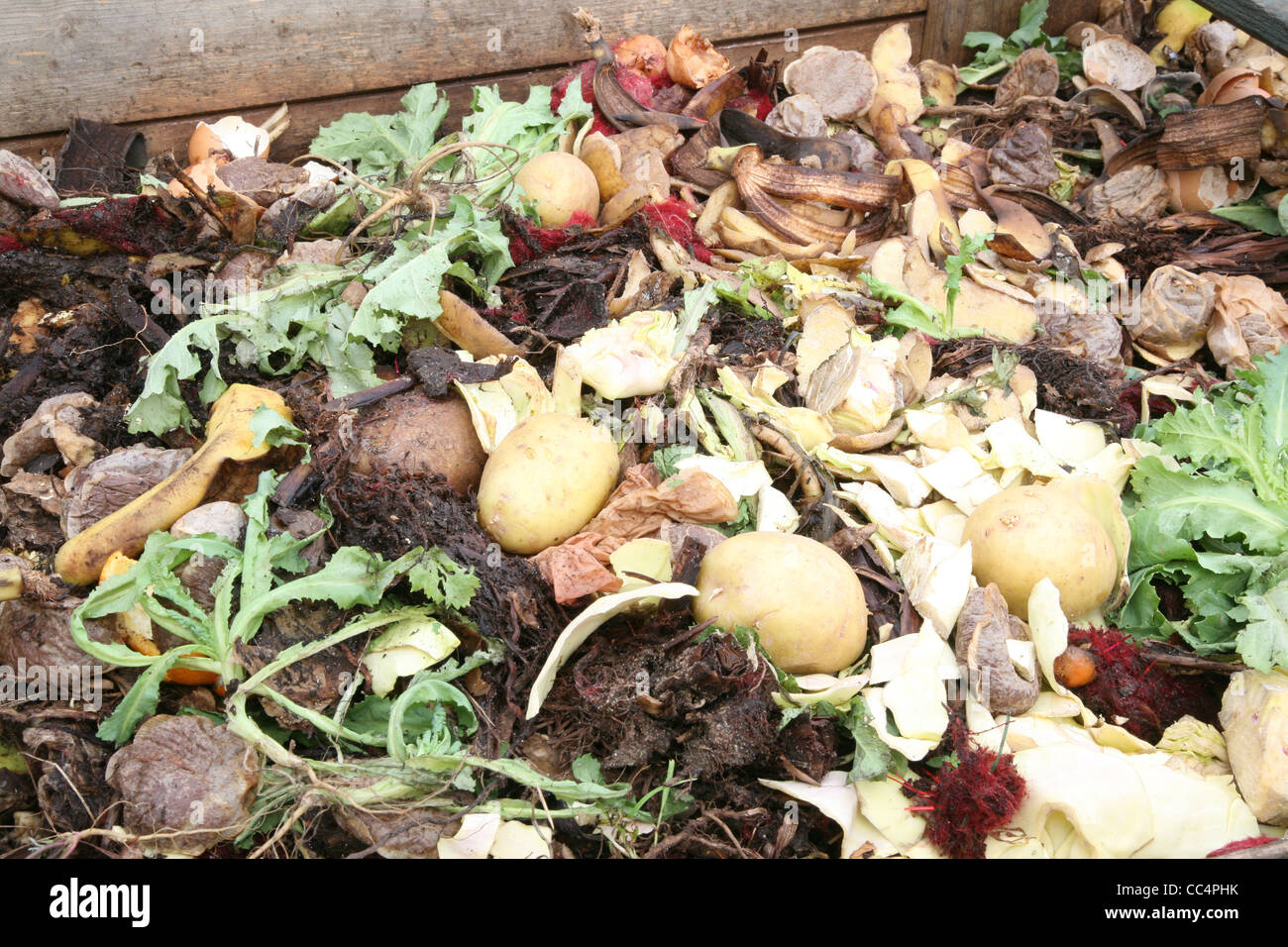 garden waste rotting down Stock Photo - Alamy