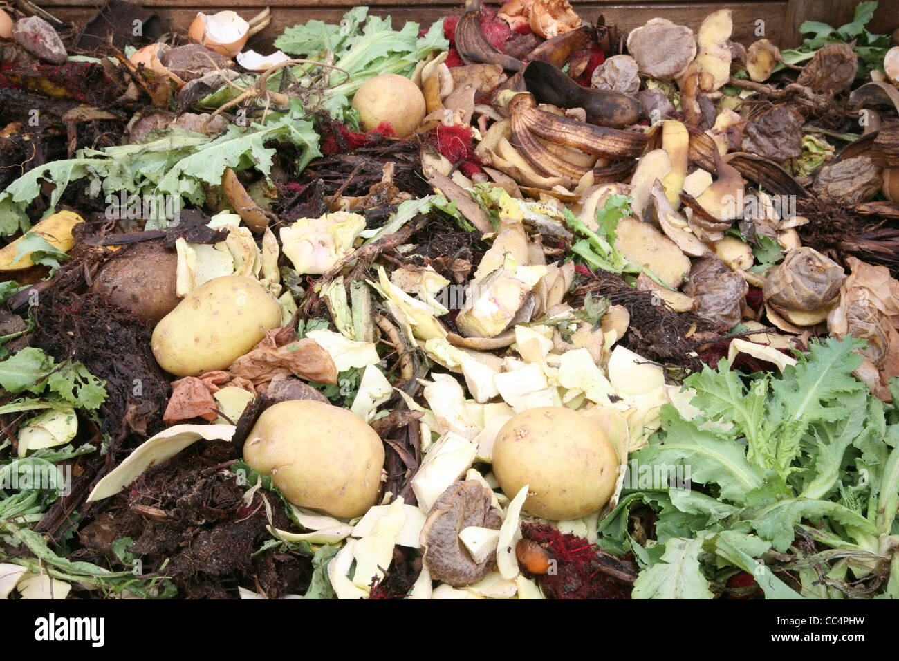 garden waste rotting down Stock Photo - Alamy