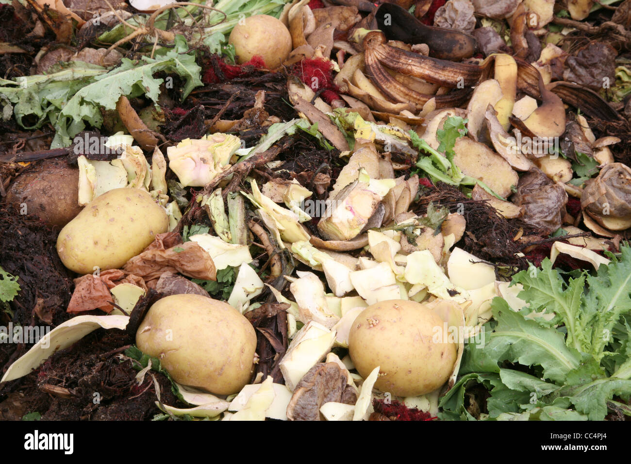 garden waste rotting down Stock Photo - Alamy
