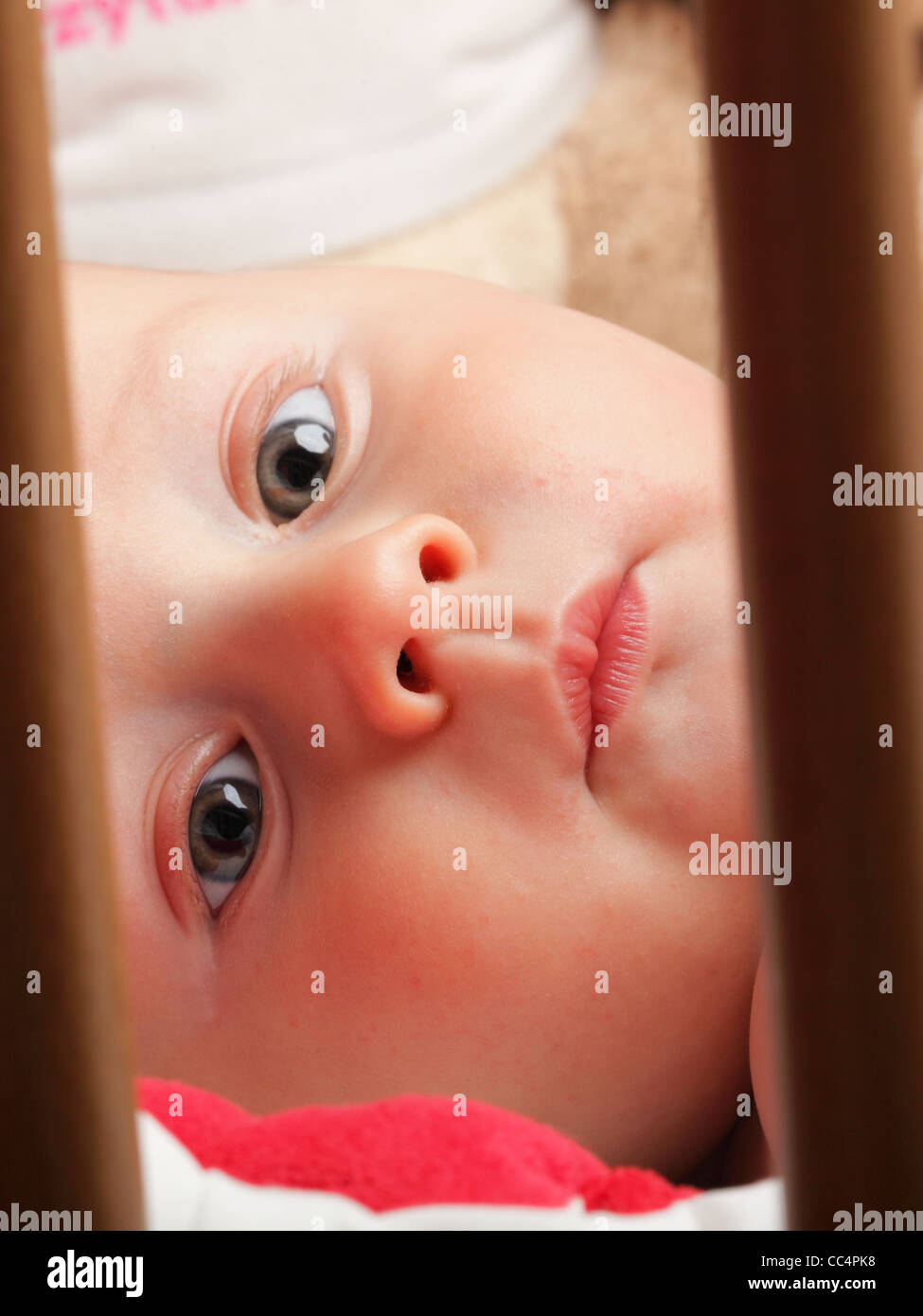 portrait of 6 months male child baby boy in blue eye Stock Photo - Alamy