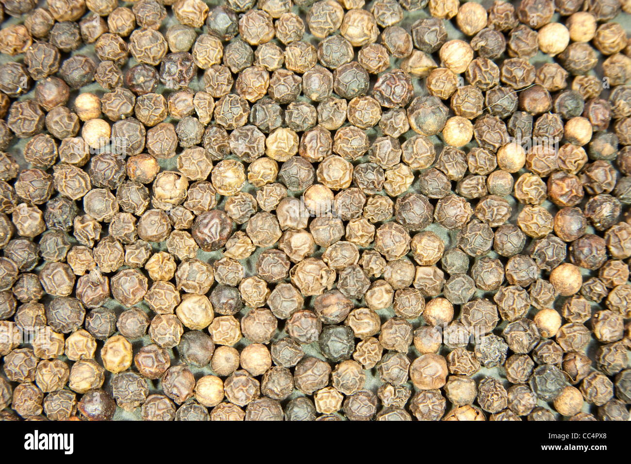 Black whole peppercorns hi-res stock photography and images - Alamy