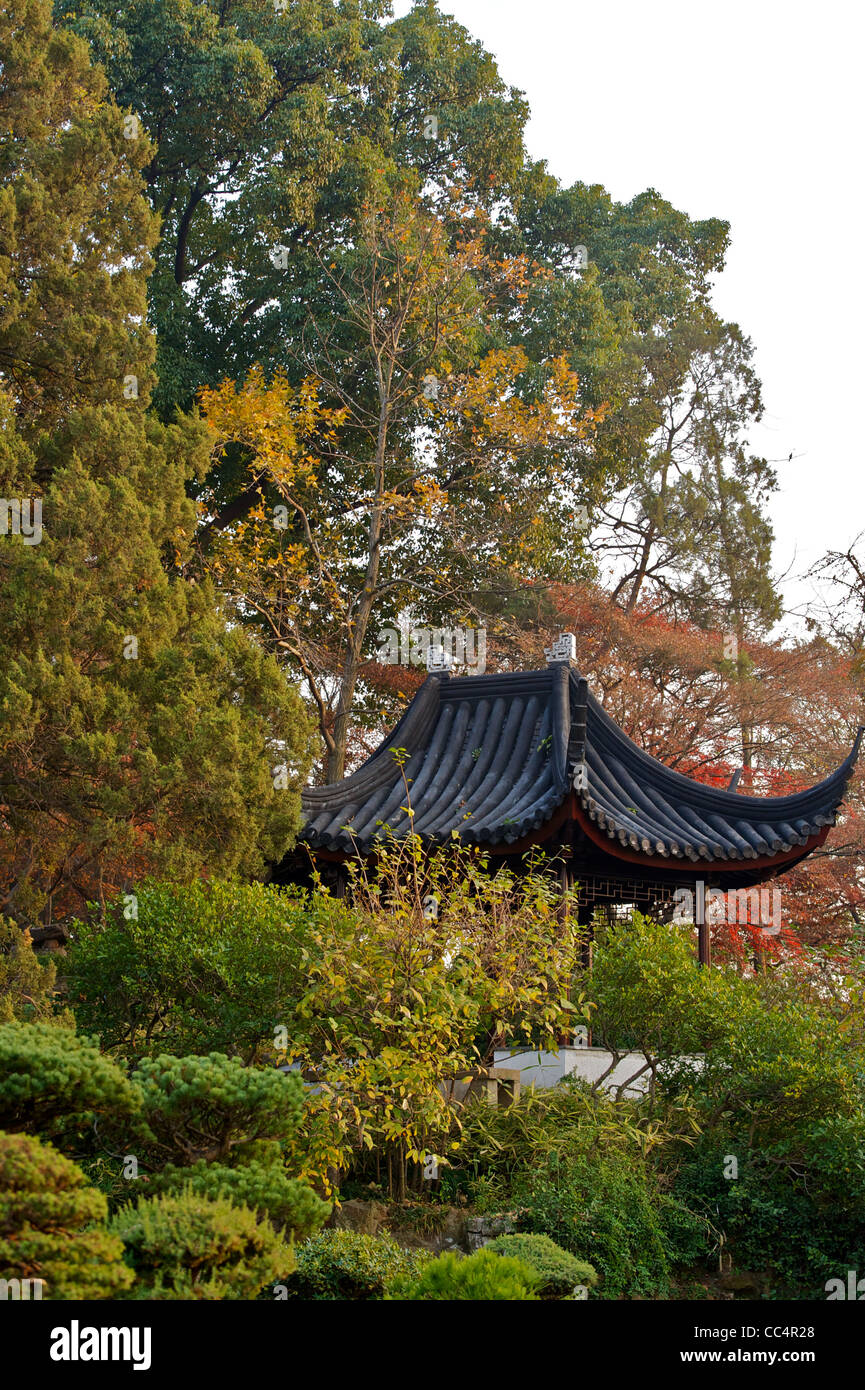 Pagoda and trees hi-res stock photography and images - Alamy