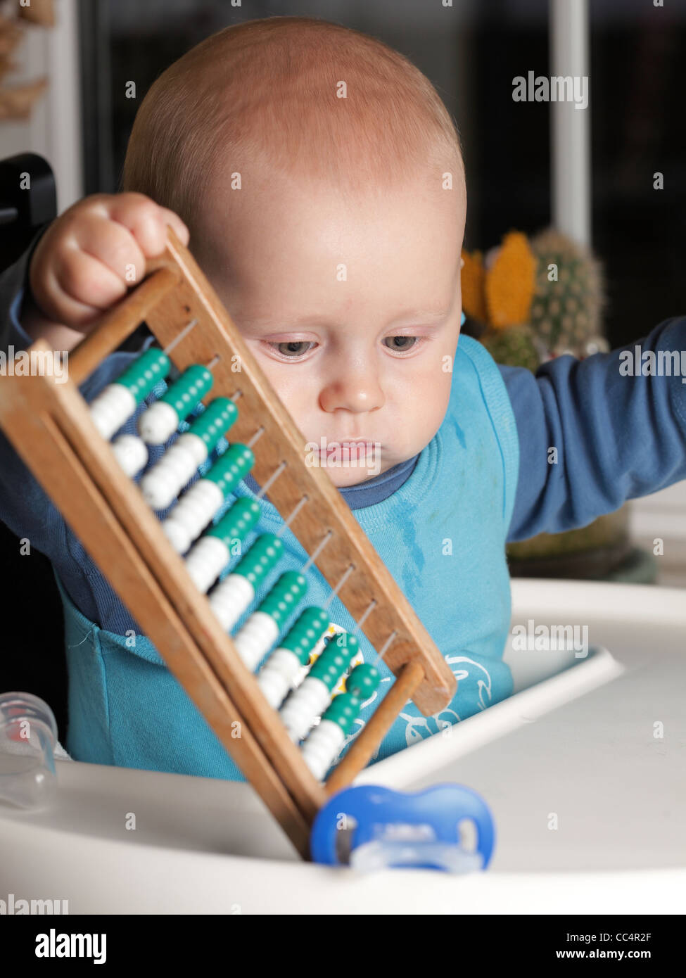 portrait of 6 months male child baby boy in blue eye, playing with ...