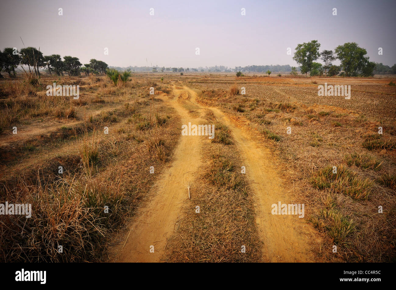 A scene in rural West Bengal, India Stock Photo - Alamy