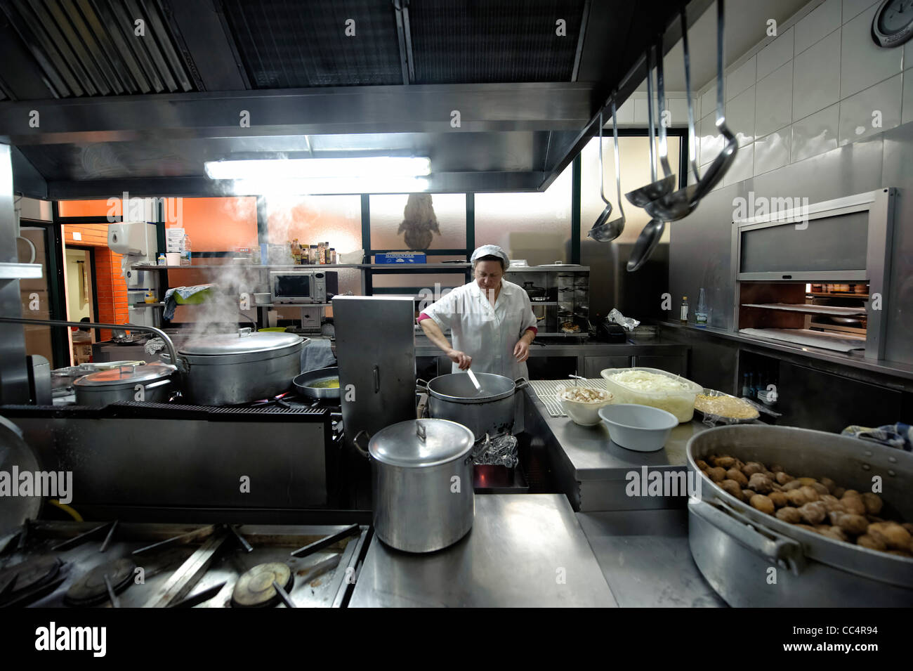 Chef preparing food in a restaurant's modern professional kitchen Stock ...