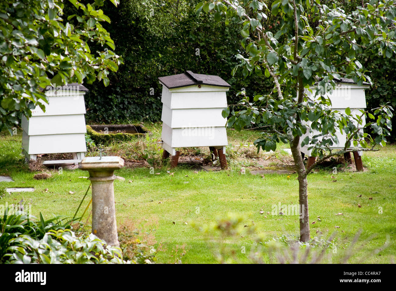 Bee hives traditional hi-res stock photography and images - Alamy