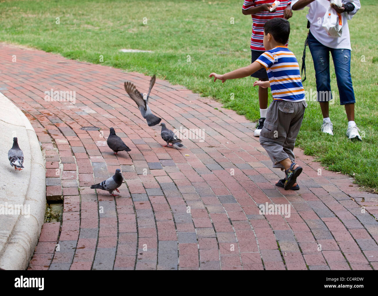 A boy chasing pigeons Stock Photo - Alamy