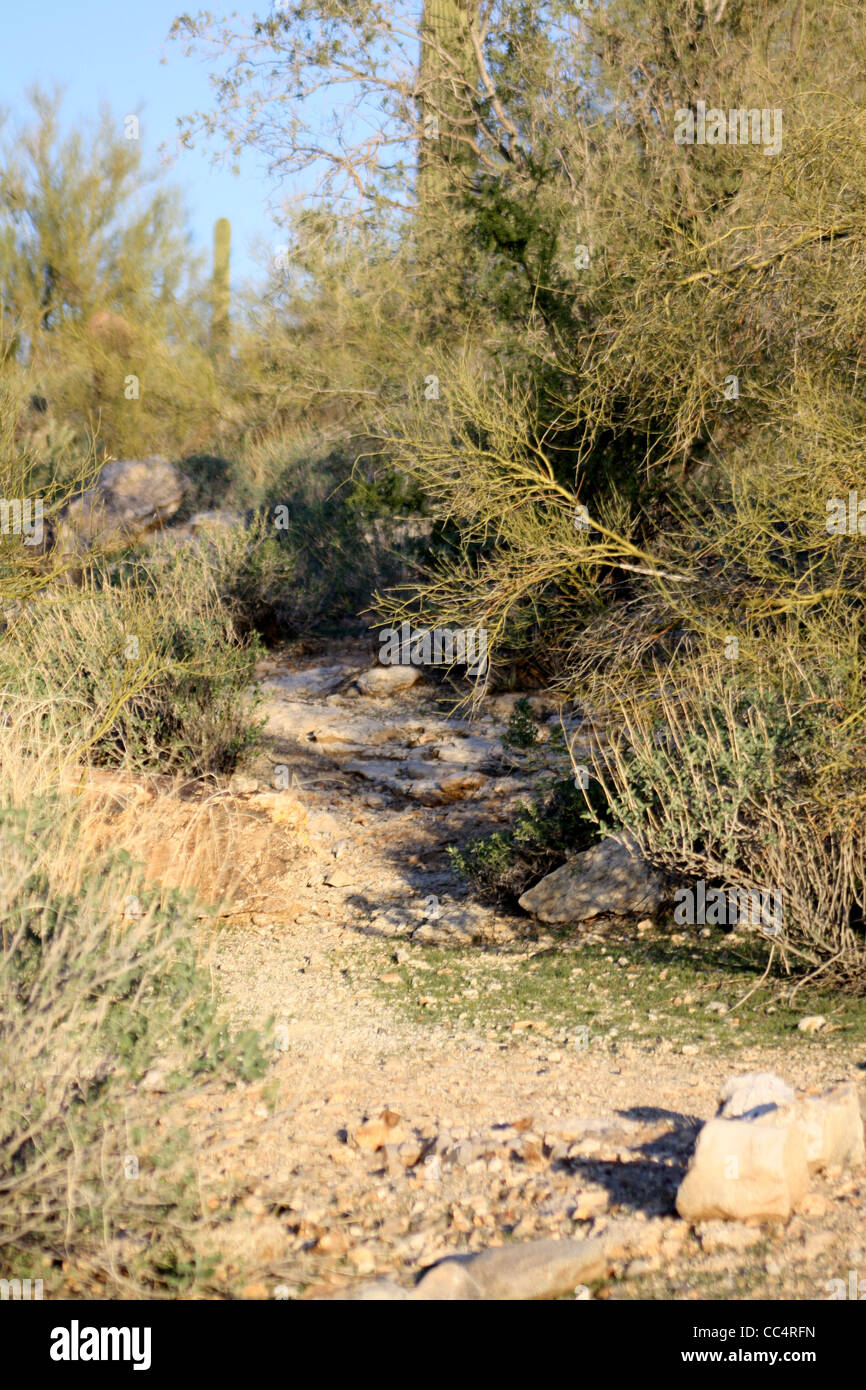 Desert path hi-res stock photography and images - Alamy